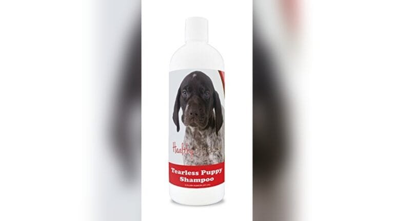 Best Dog Food for German Shorthaired Pointer Puppy: Top Healthy Choices