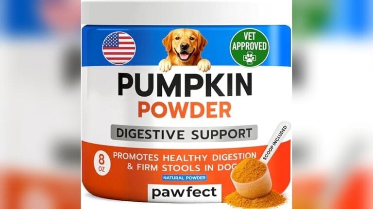 Best Dry Dog Food for Firm Stools: Top Digestive Health Picks
